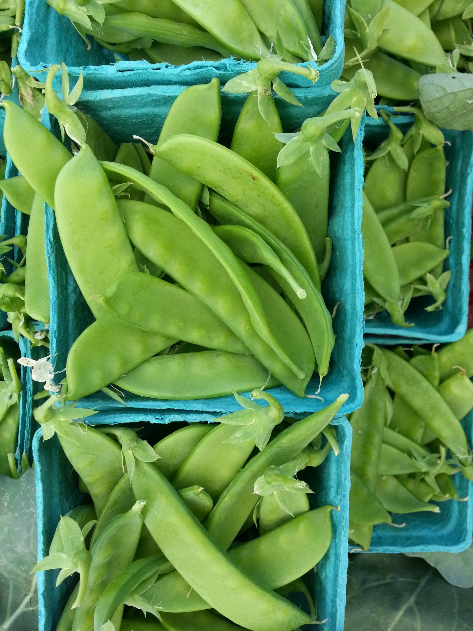 CSA Week 3 – Skylight Farms